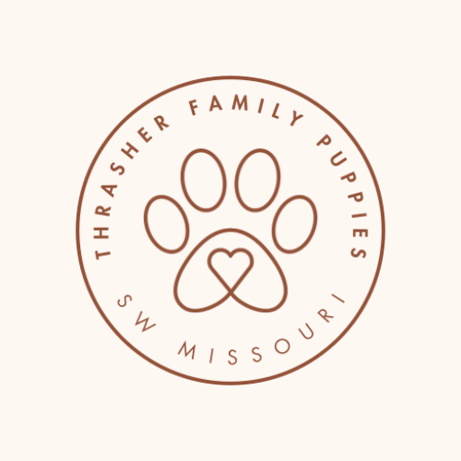 Golden Retriever & Cocker Spaniel Puppies in Springfield, MO | Thrasher ...